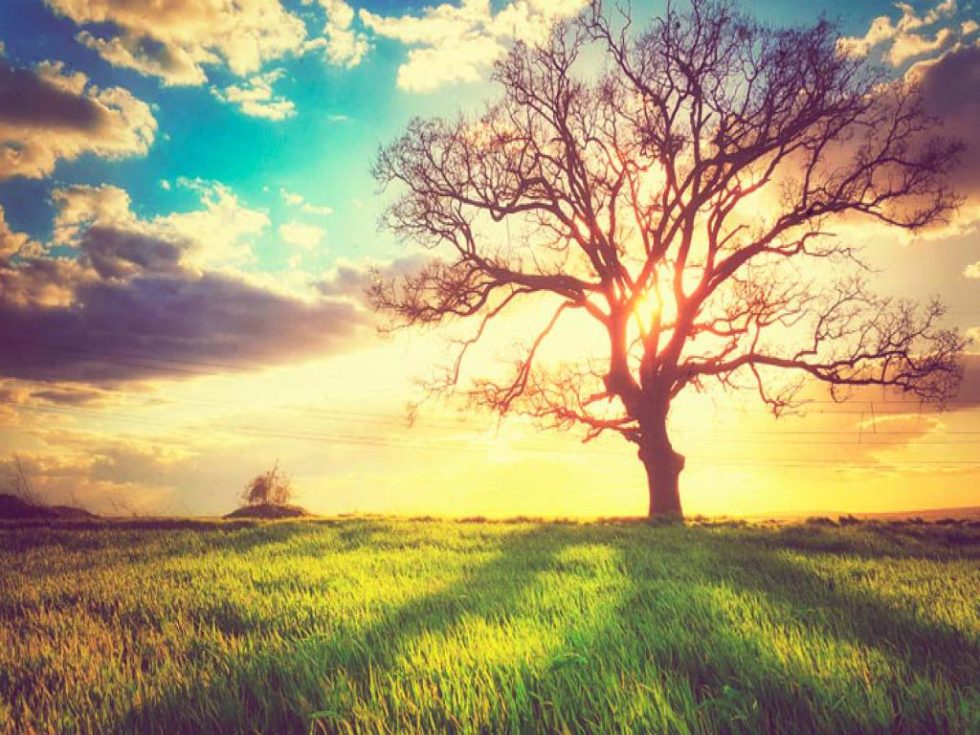 NatureConnect Programs | NatureConnect